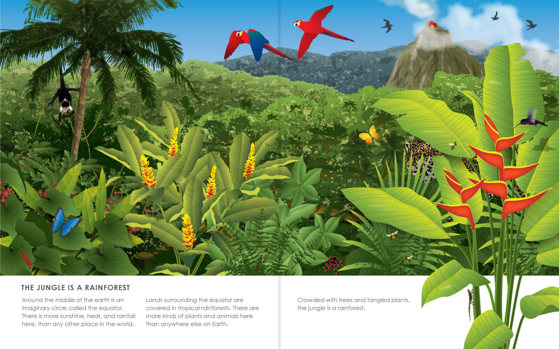 Who Needs a JUNGLE? – A Rainforest Ecosystem – KAREN PATKAU